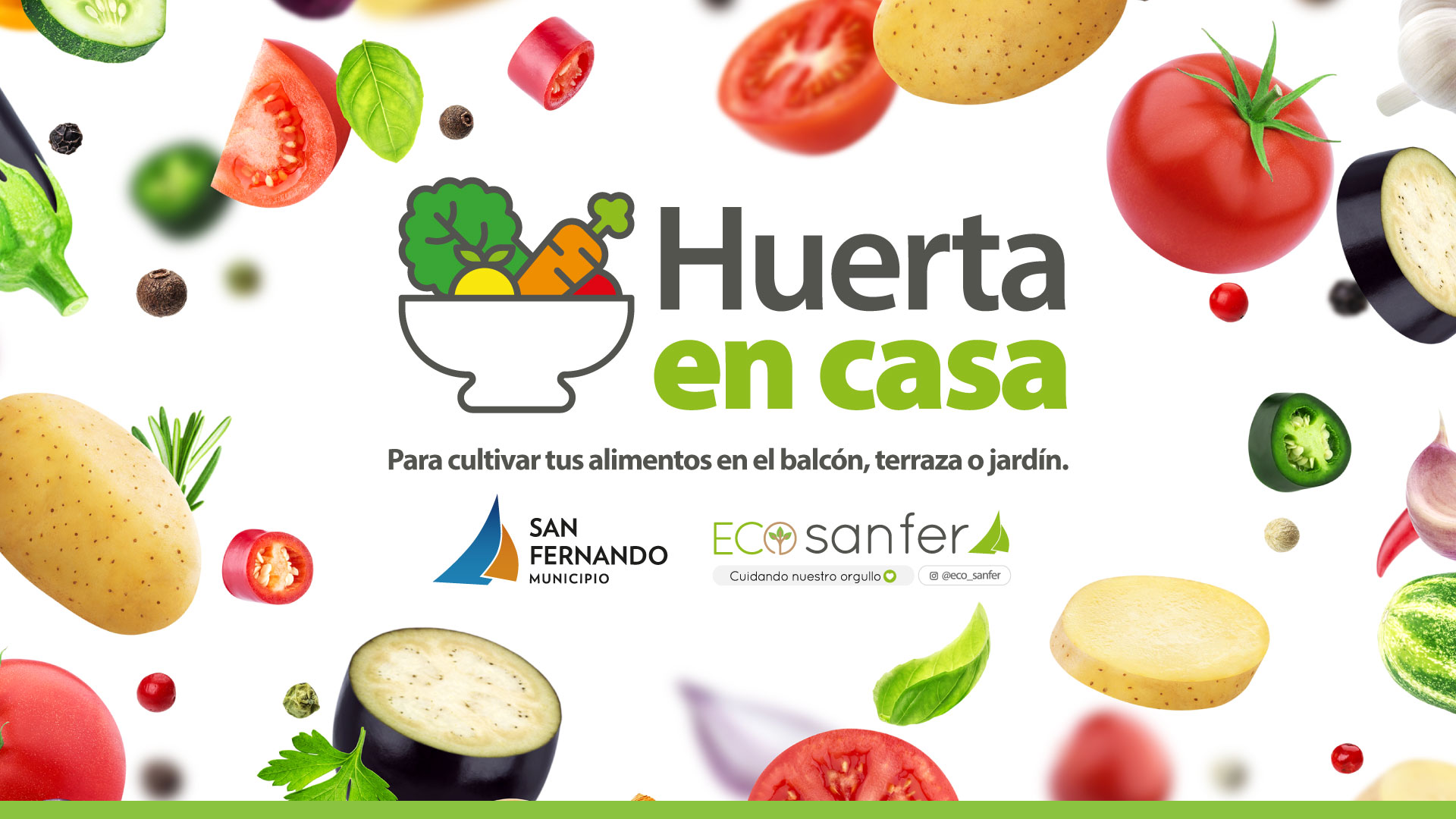 San Fernando Municipio - RESERVÁ SEMILLAS Y HACÉ TU PROPIA HUERTA EN CASA!